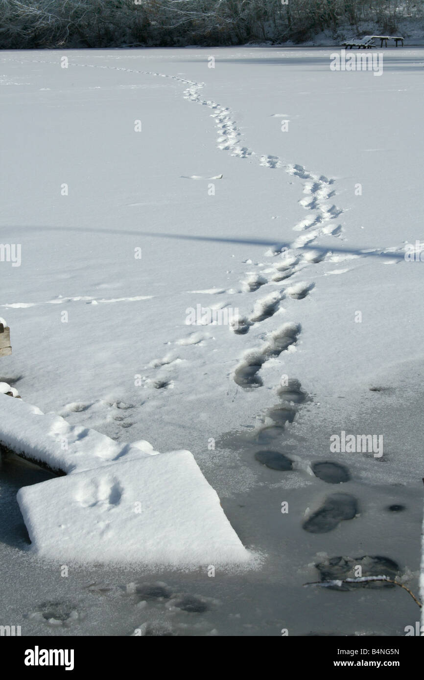 Footsteps in snow Stock Photo - Alamy