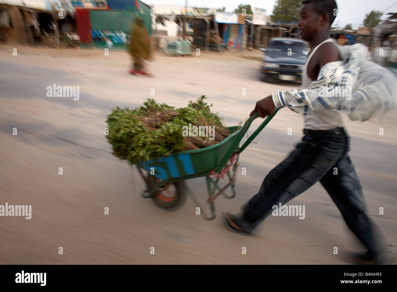 Khat is transported in Berbera, Somaliland, northern Somalia Stock ...