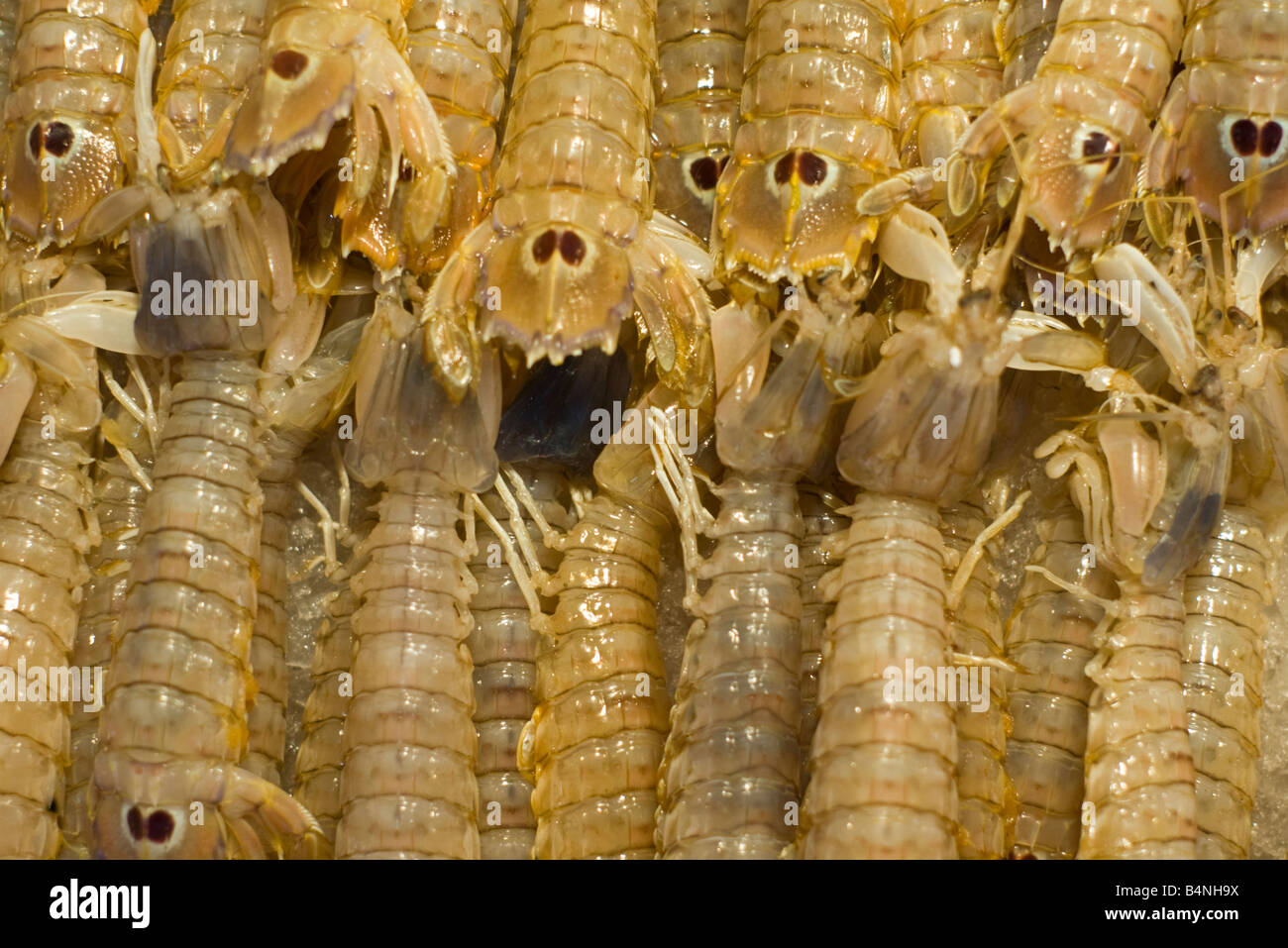 Produce at the San Polo Fish Market, Campo della Pescaria, San Polo ...