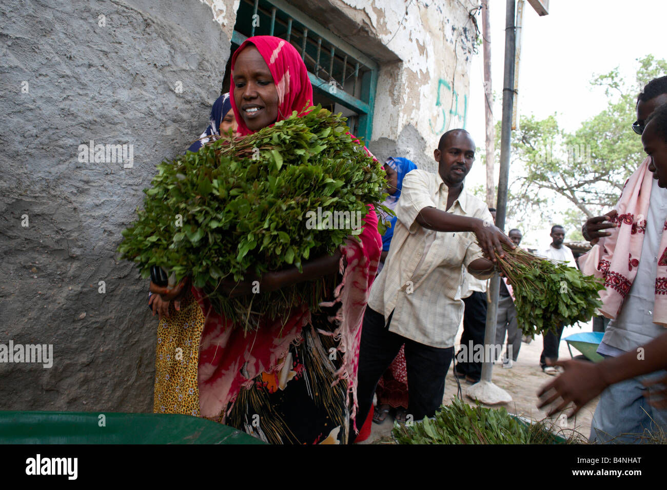 Khat hi-res stock photography and images - Alamy
