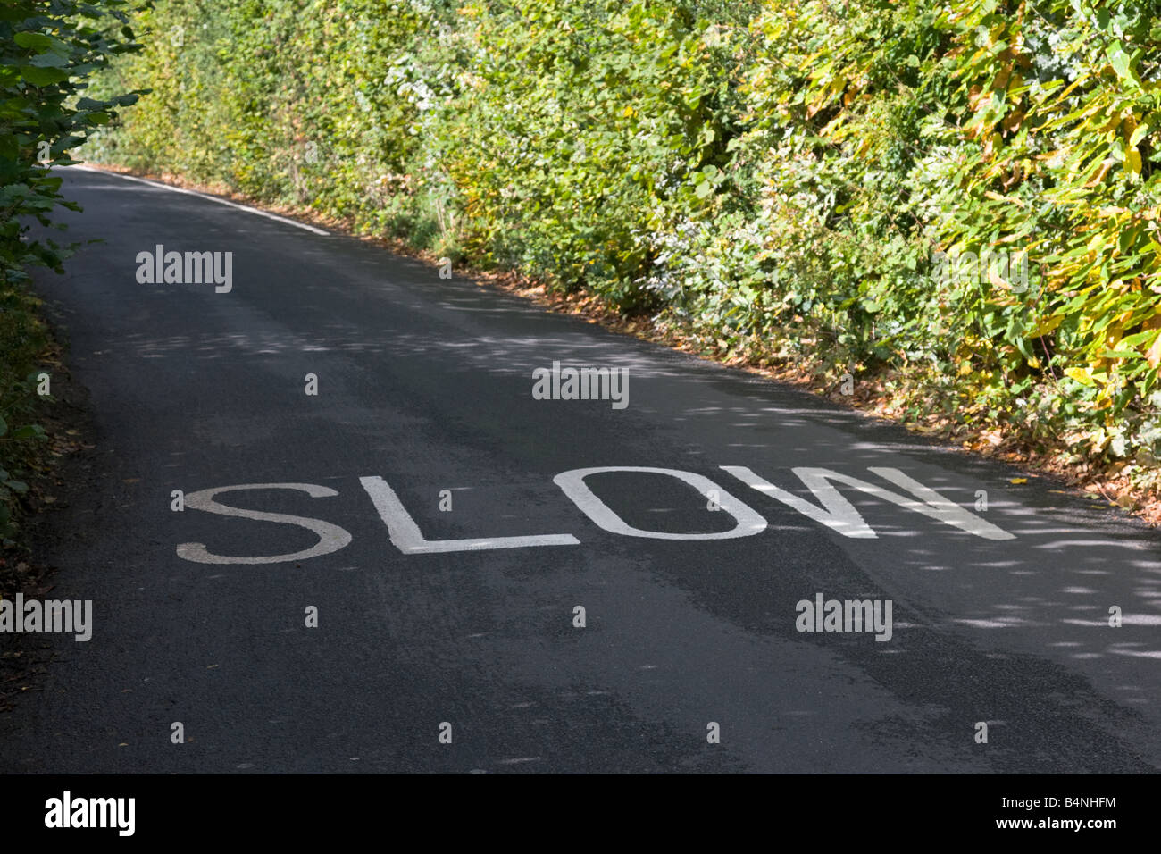 Slow road markings on a country lane road Stock Photo - Alamy