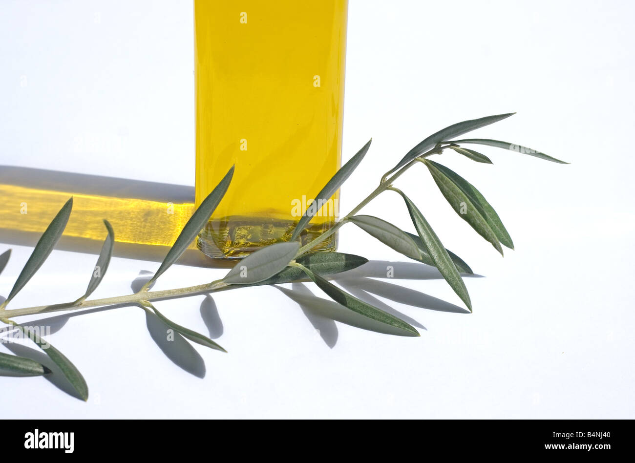 Olive oil and leaves on white background Stock Photo - Alamy