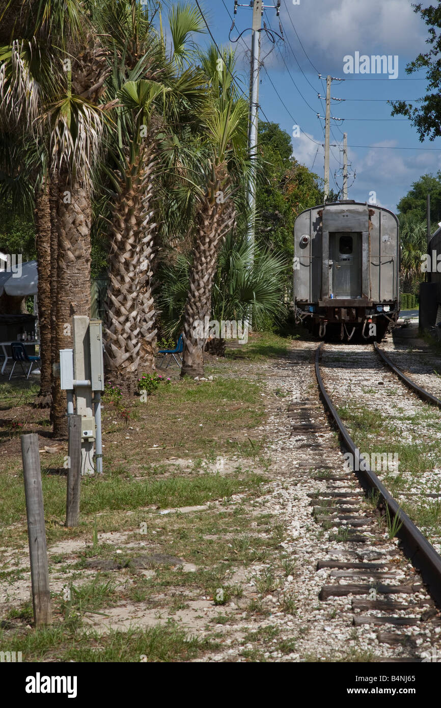 Train traveling down tracks by Cabbage palm trees in small town America ...