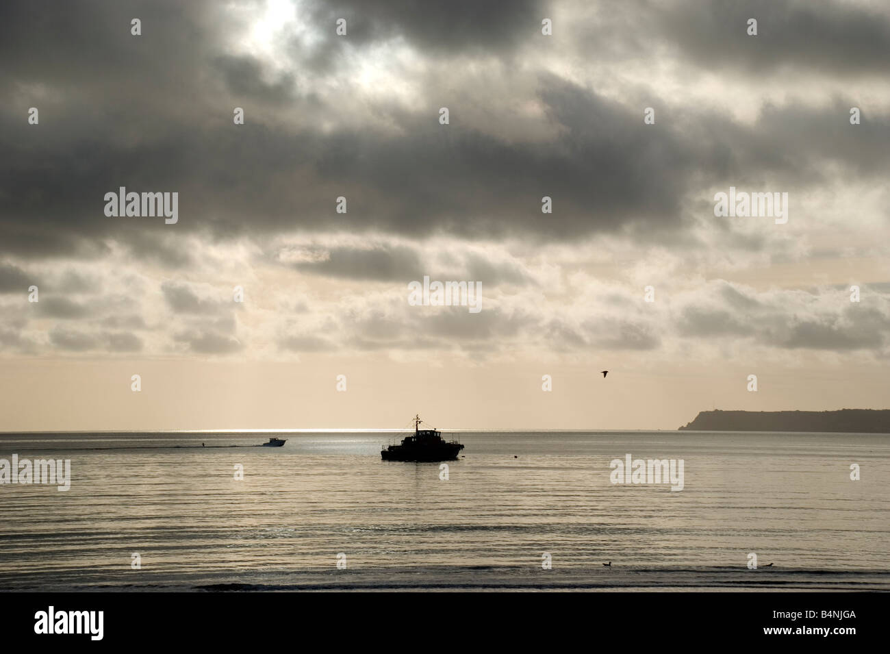 Torbay including Berry Head on the Engish riviera Stock Photo - Alamy