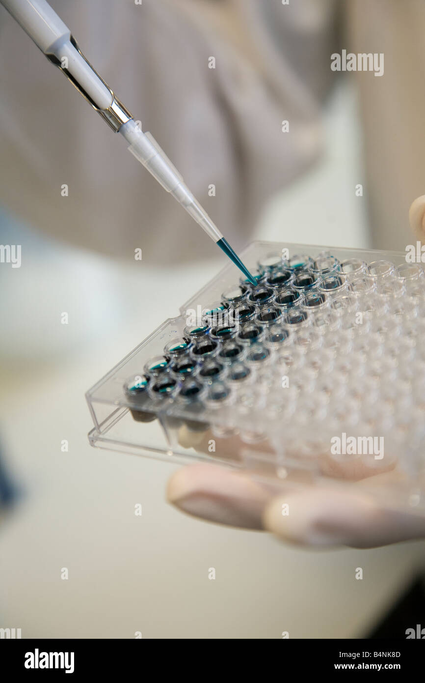 A lab technician performing research experiments using a pipette Stock ...