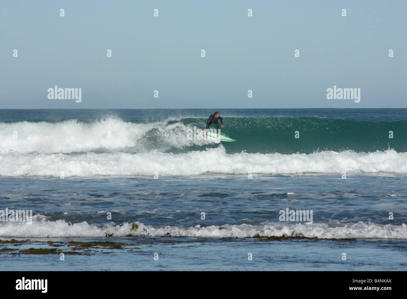 a surfer riding the wall of a wave at streaky bay on the eyre peninsula ...
