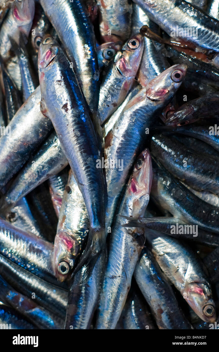 Produce at the San Polo Fish Market, Campo della Pescaria, San Polo ...