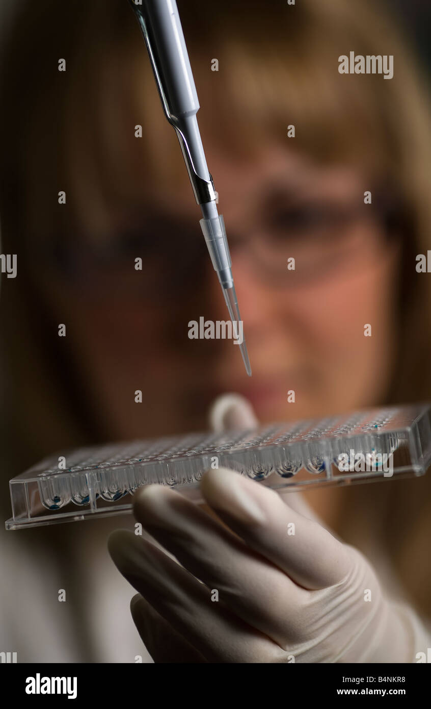 A lab technician performing research experiments using a pipette Stock ...
