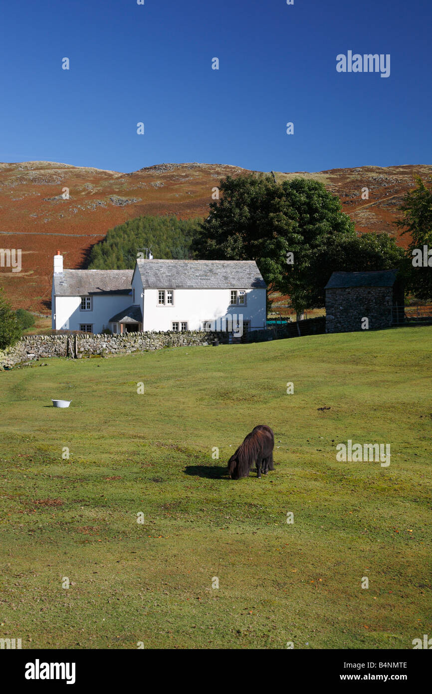 Farm house with fell pony in the field in front of Farm house at Park ...