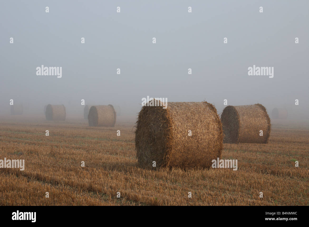 Mist field norfolk england hi-res stock photography and images - Alamy