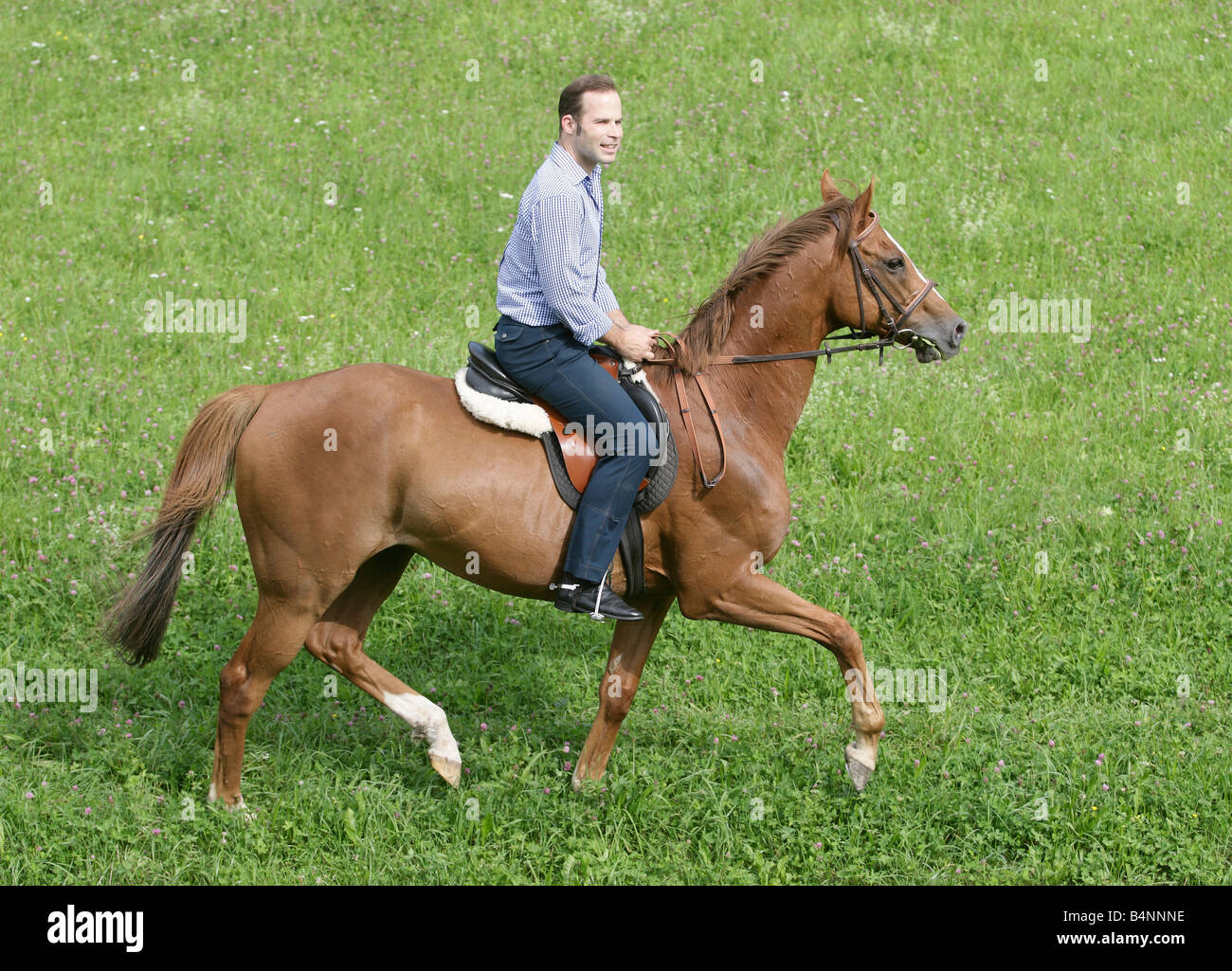 Man riding on horseback across a green meadow Stock Photo - Alamy