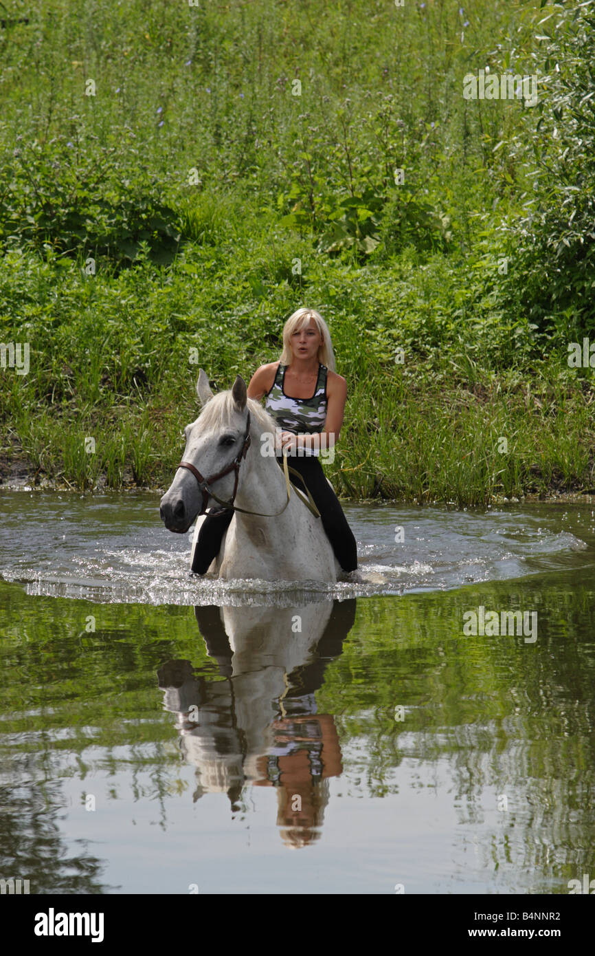 Young women rider with white horse - swimming Stock Photo - Alamy