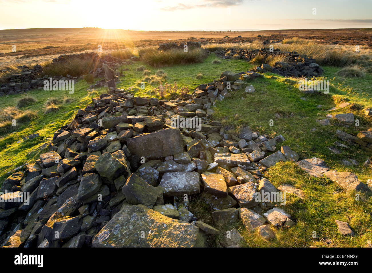 Ruined stone building at Totley Moss in Derbyshire Stock Photo - Alamy