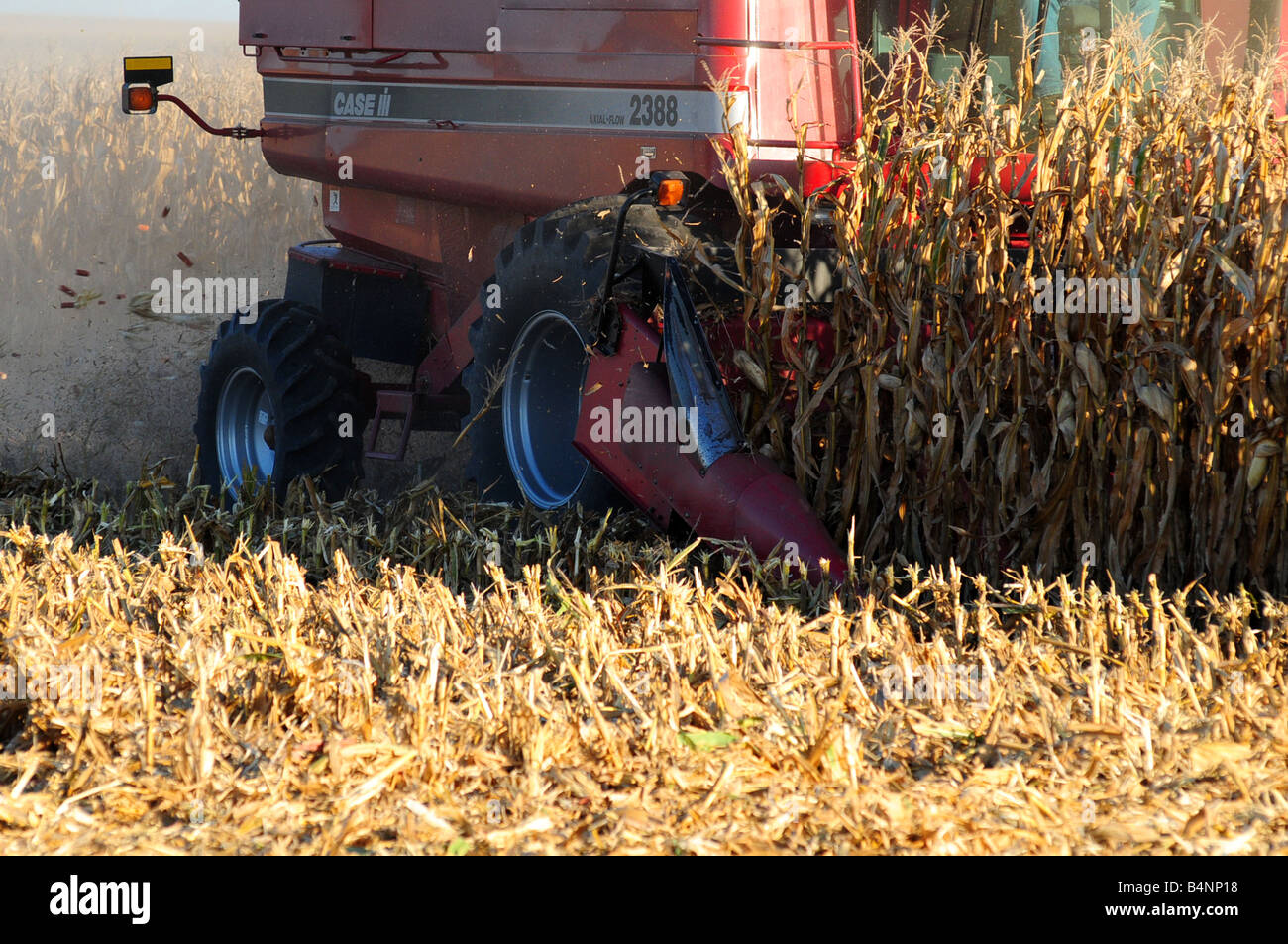 A combine in the farm field at harvest time Stock Photo - Alamy
