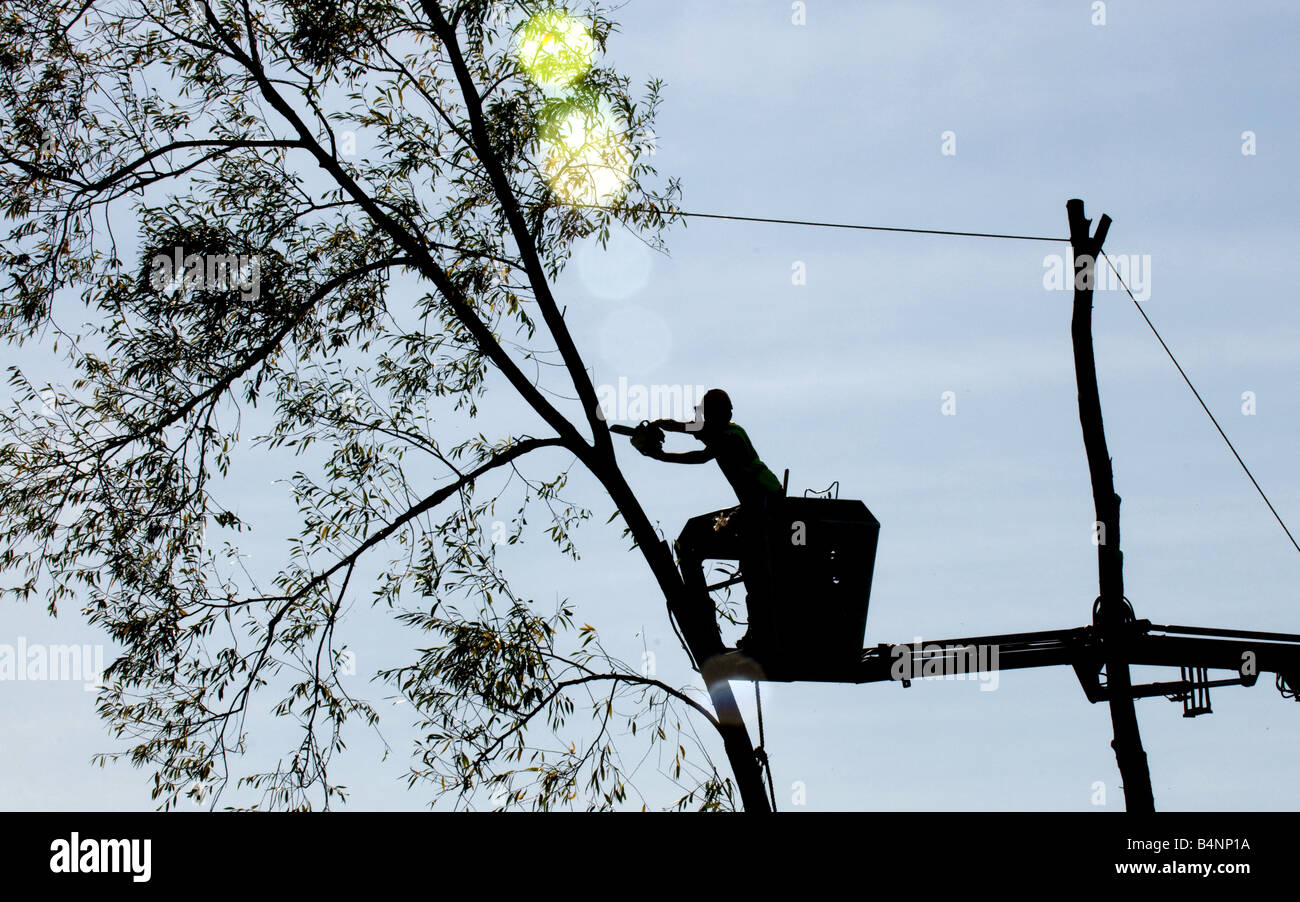 Tree feller hi-res stock photography and images - Alamy