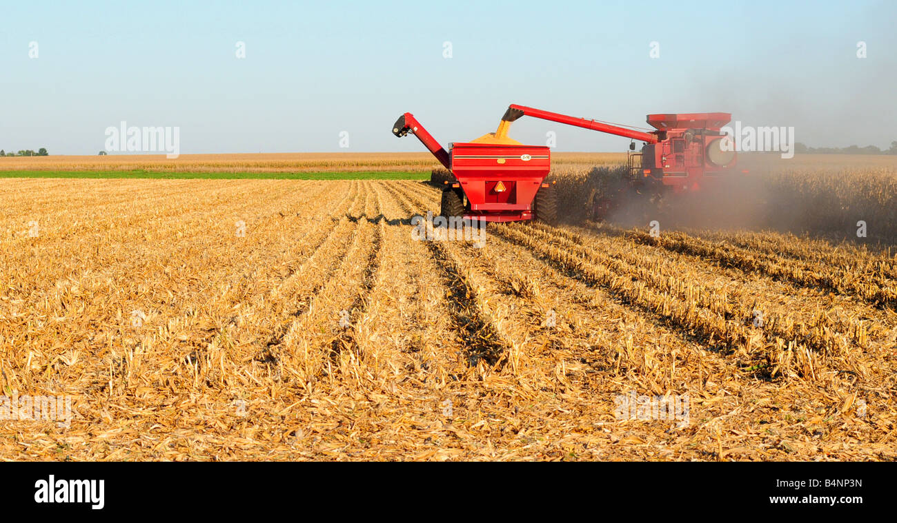 A combine in the farm field at harvest time Stock Photo - Alamy