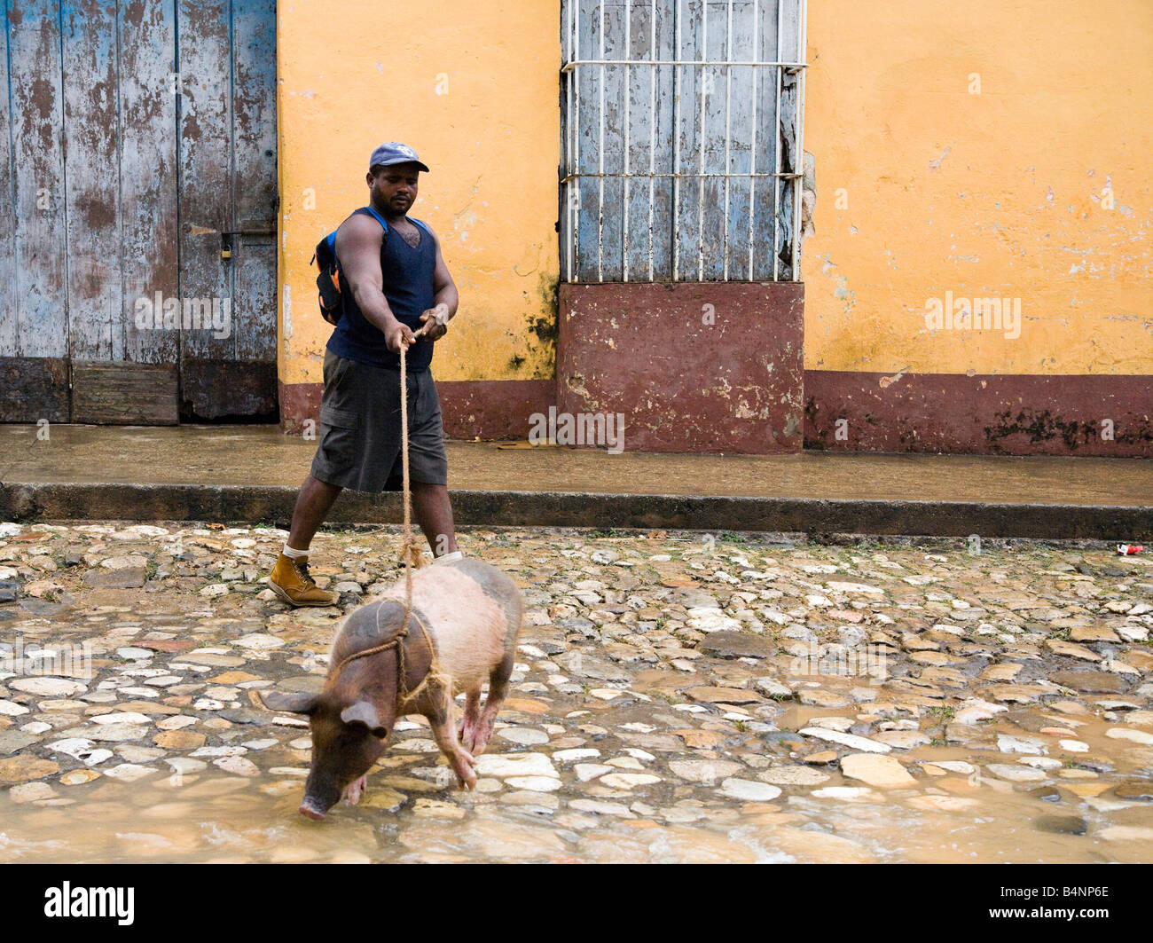 Man with pig in the old town Stock Photo - Alamy