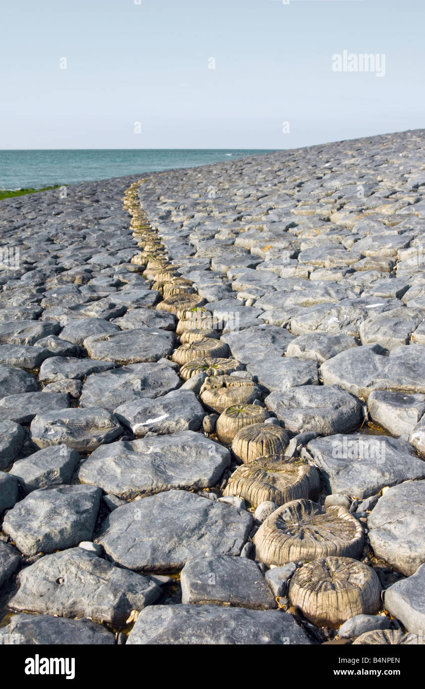 Basalt dyke hi-res stock photography and images - Alamy