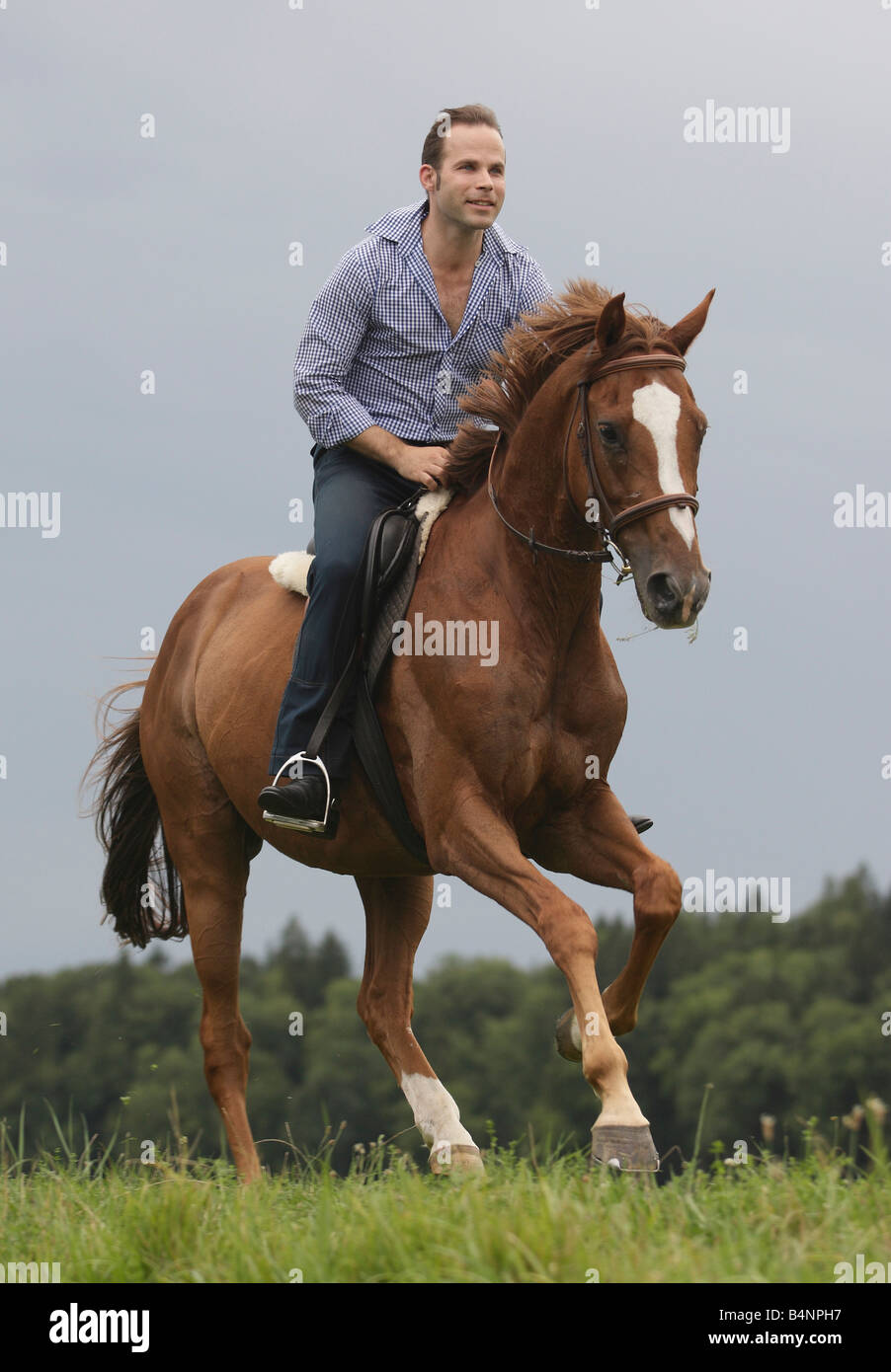 Man galopping on horseback across a green meadow Stock Photo - Alamy