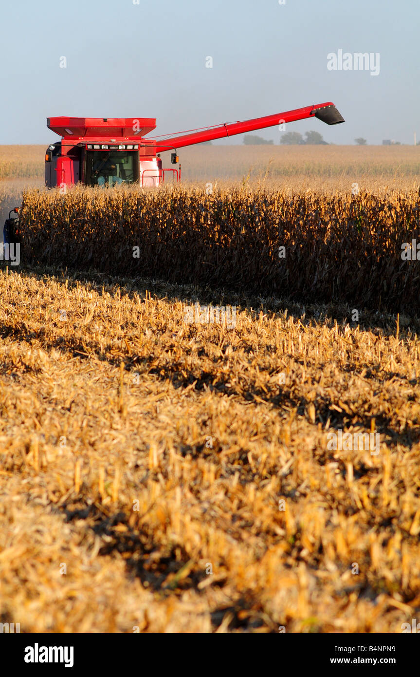 A combine in the farm field at harvest time Stock Photo - Alamy