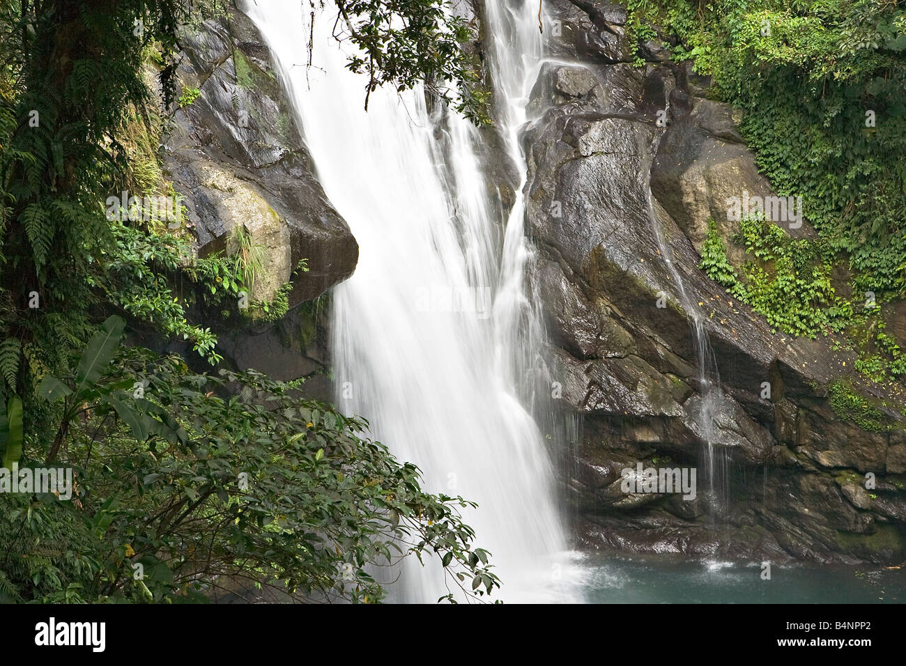 Iso 50 hi-res stock photography and images - Alamy