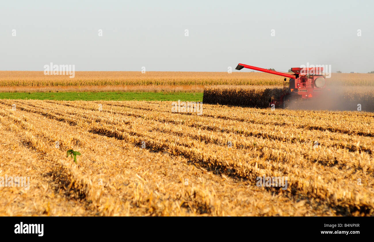 A combine in the farm field at harvest time Stock Photo - Alamy