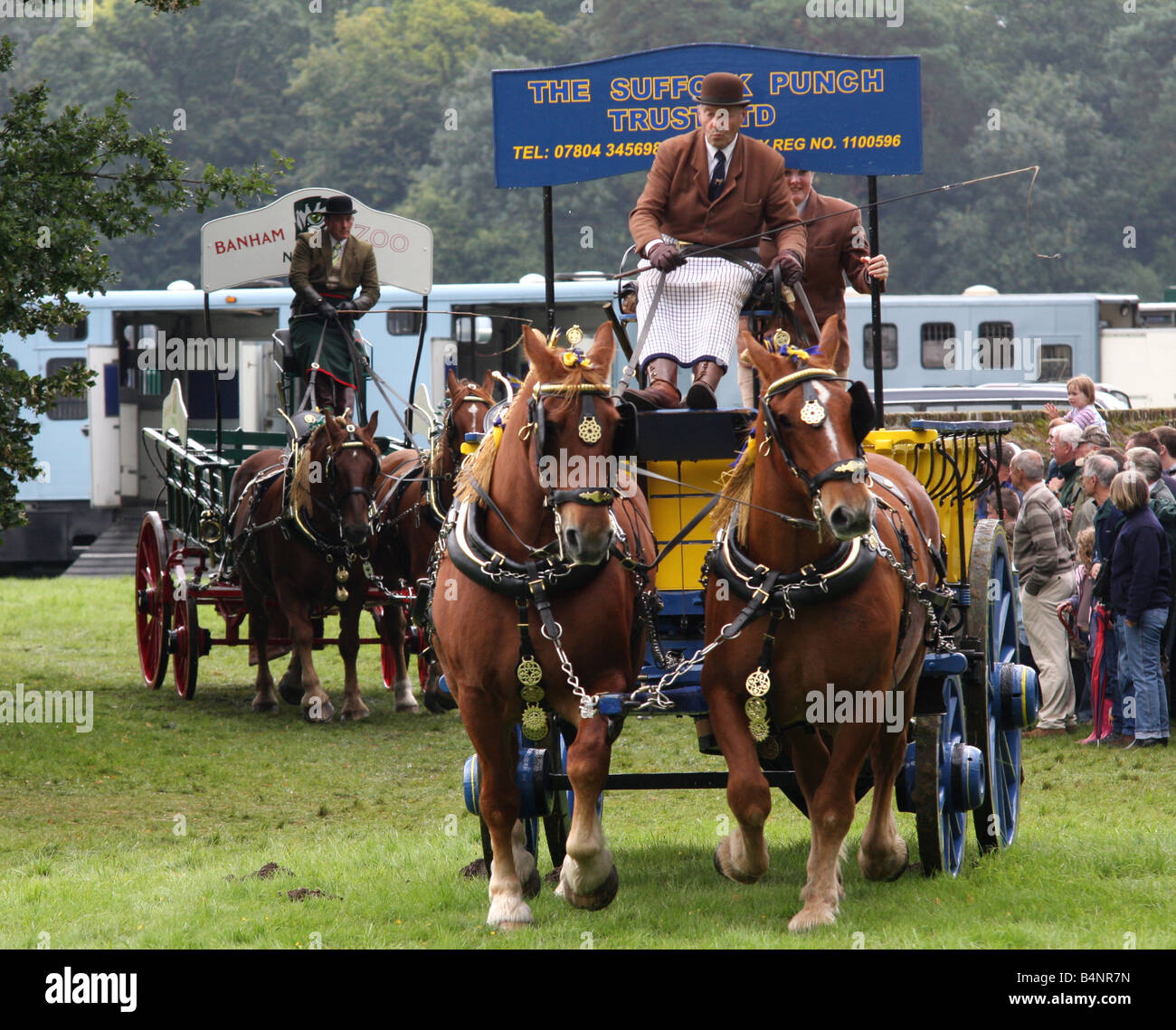 Heavy horse pulling cart hi-res stock photography and images - Alamy