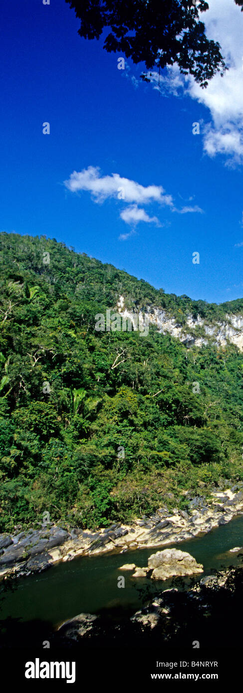 Macal River, Cayo District, Belize Stock Photo - Alamy