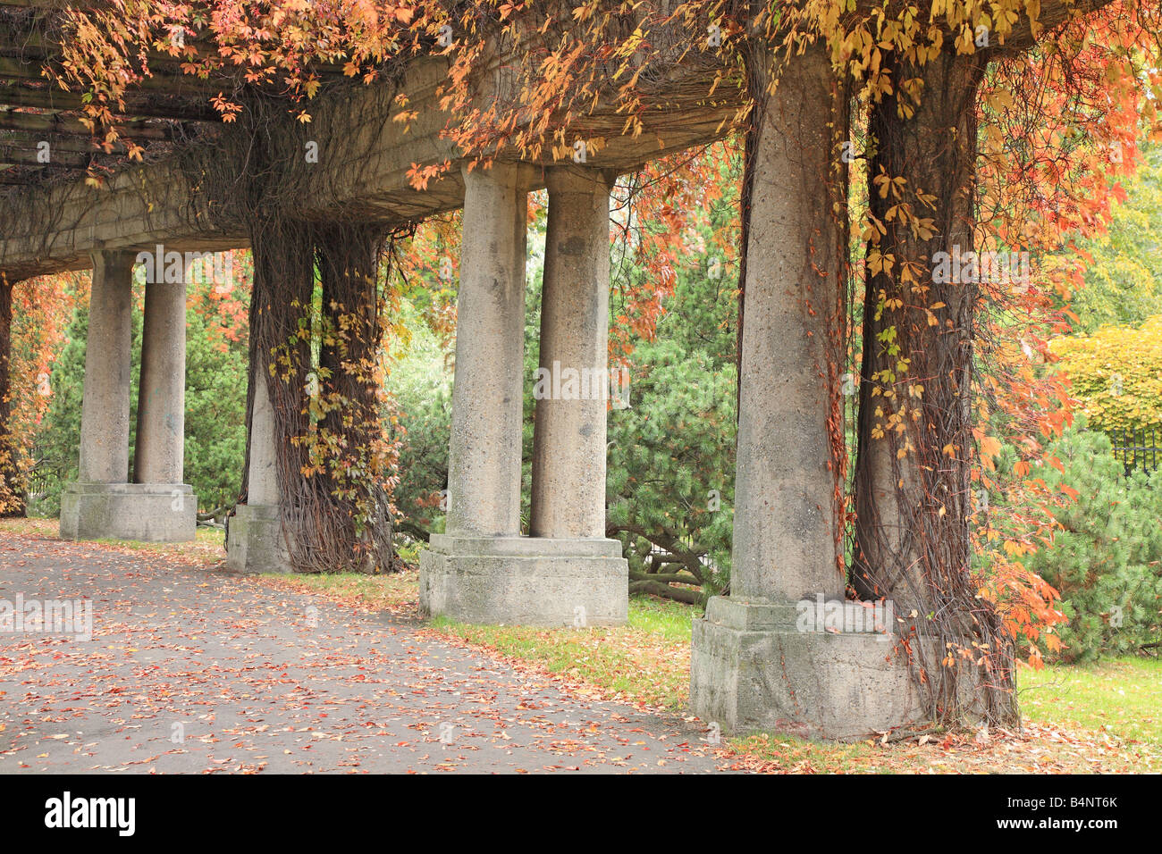 Pergola in autumn.Wrocław.Poland Stock Photo - Alamy