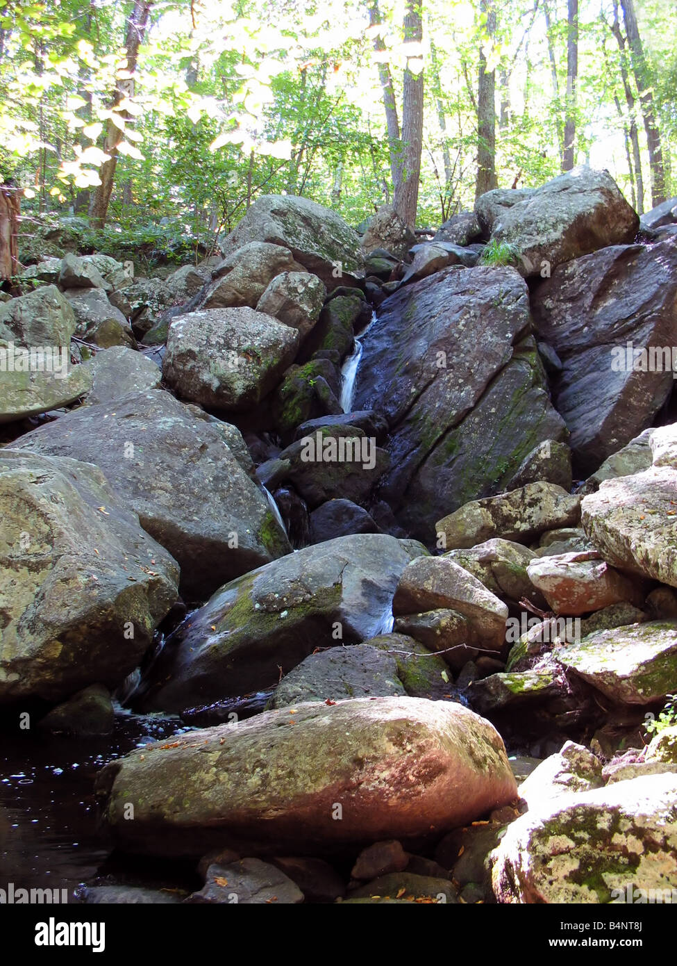A beautiful waterfall in the woods Stock Photo - Alamy