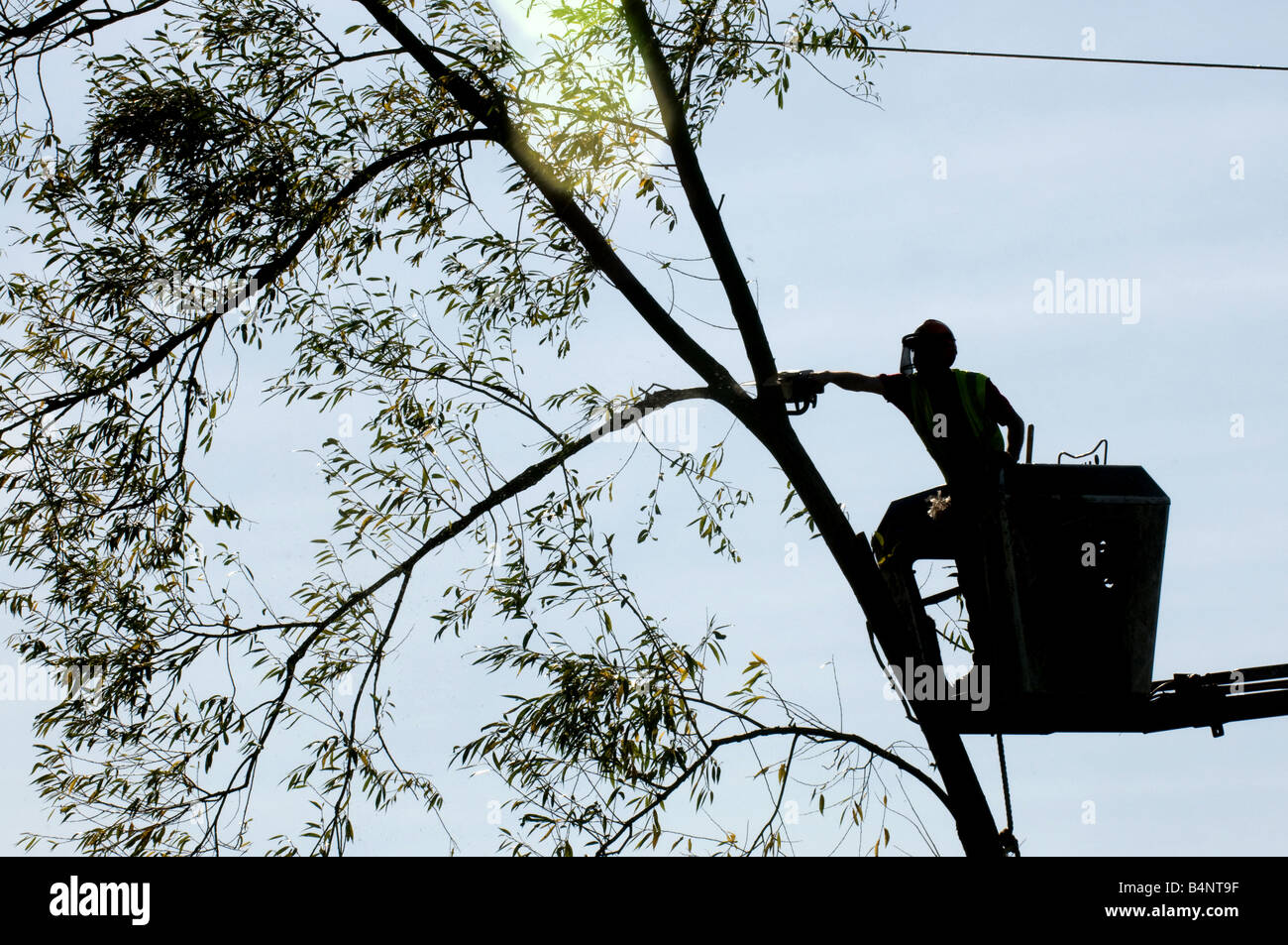 Feller feller hi-res stock photography and images - Alamy