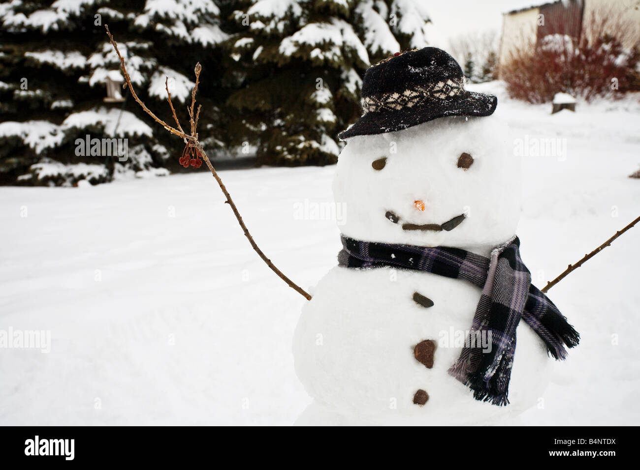 A happy snowman with a black hat, scarf, and carrot nose Stock Photo ...
