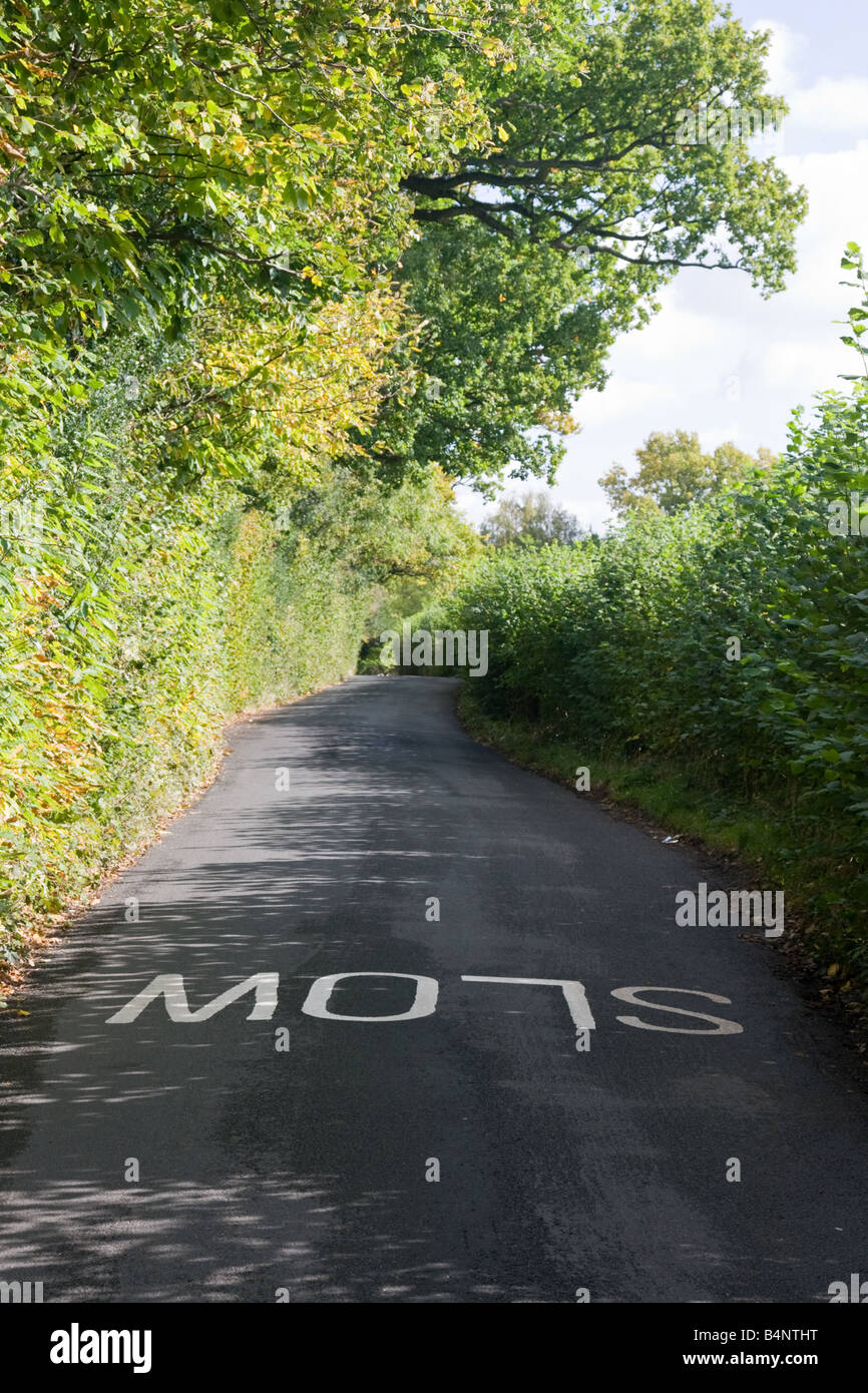 Slow road markings on a country lane road Stock Photo - Alamy