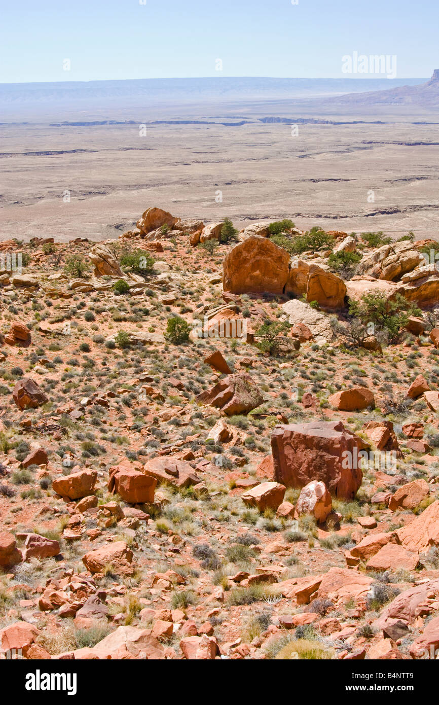 Red rocks desert in arizona USA Vertical shot Stock Photo - Alamy