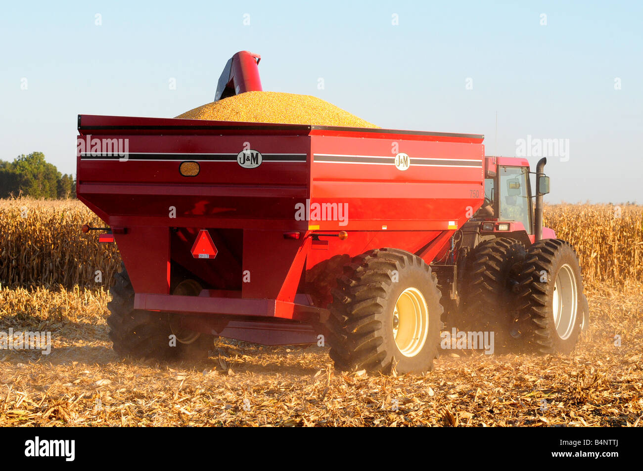 A farm tractor hauling a grain wagon during harvest time. The wagon ...