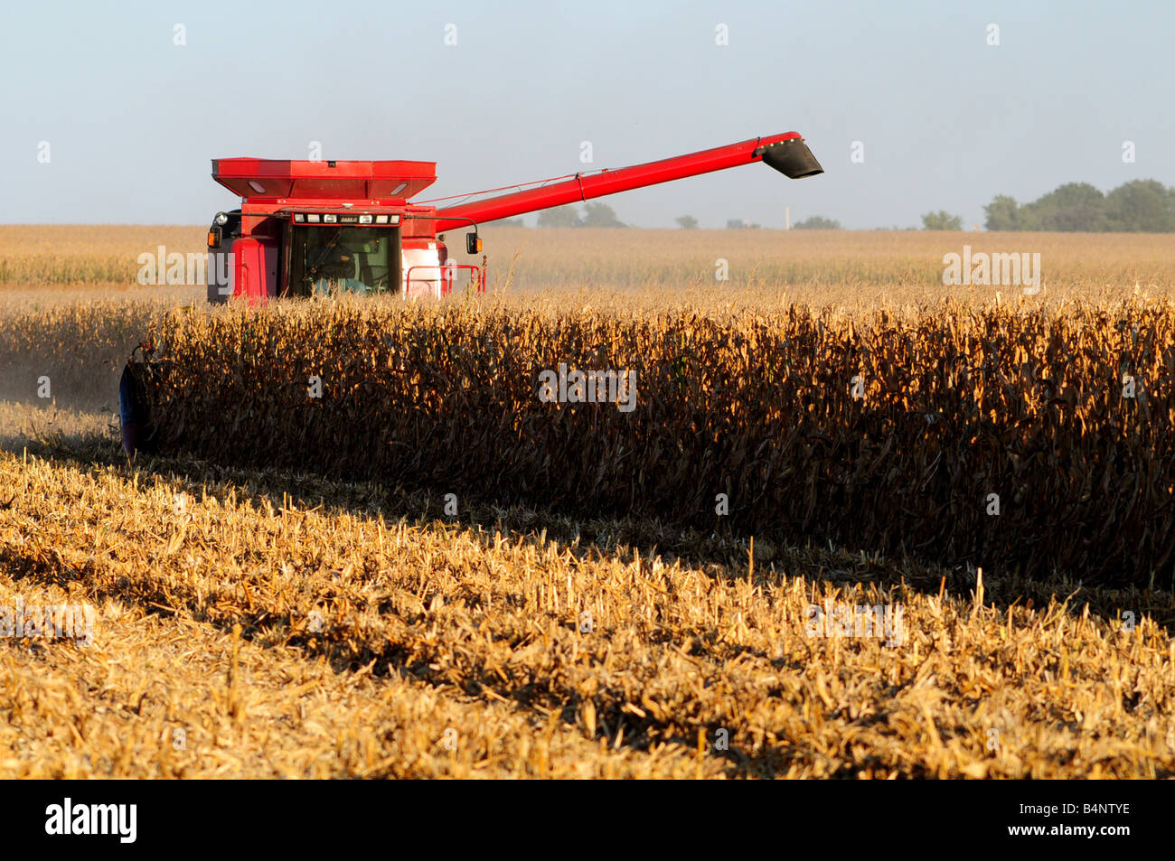 A combine in the farm field at harvest time Stock Photo - Alamy