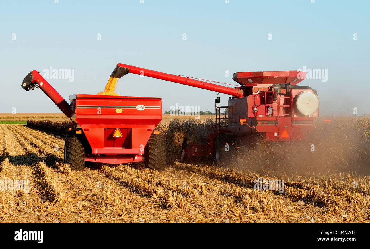 A combine in the farm field at harvest time Stock Photo - Alamy