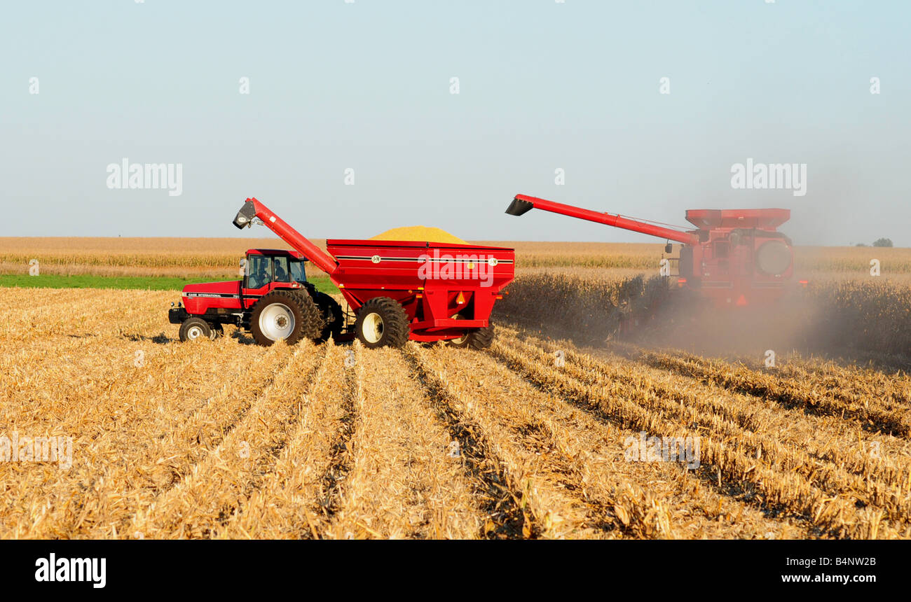 A combine in the farm field at harvest time Stock Photo - Alamy
