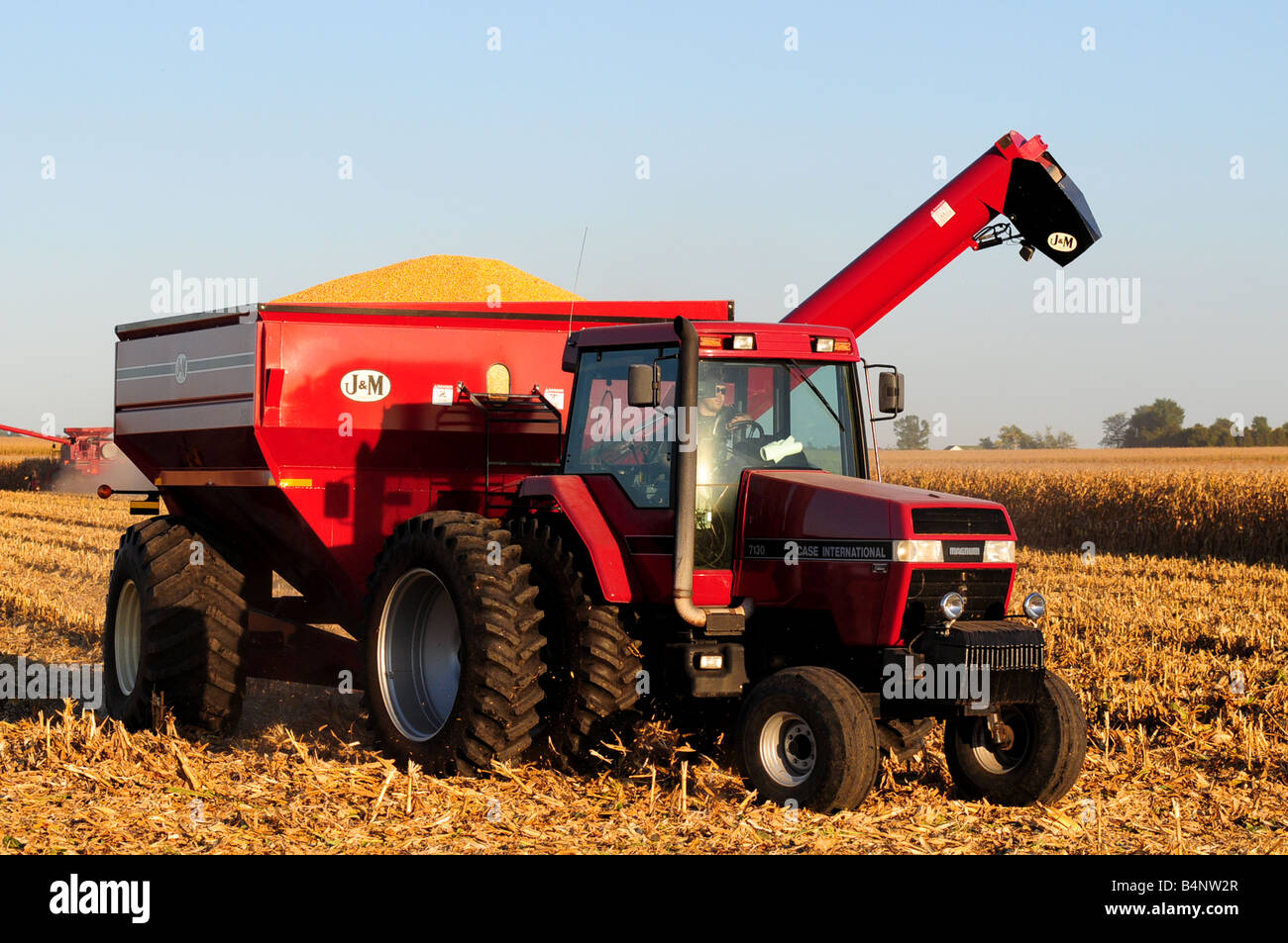 A farm tractor hauling a grain wagon during harvest time. The wagon ...