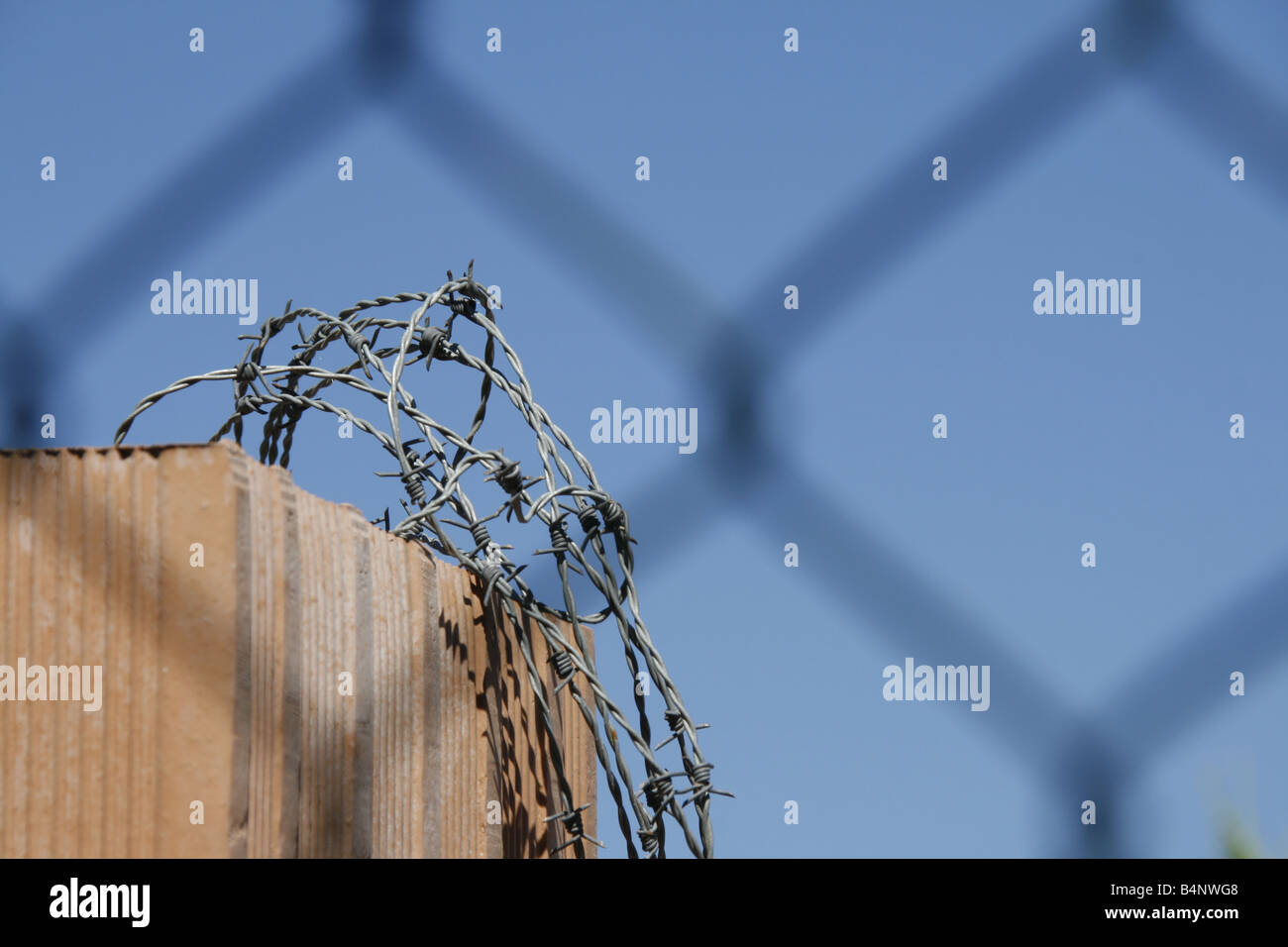 tangled barbed wire fence against blue sky Stock Photo - Alamy