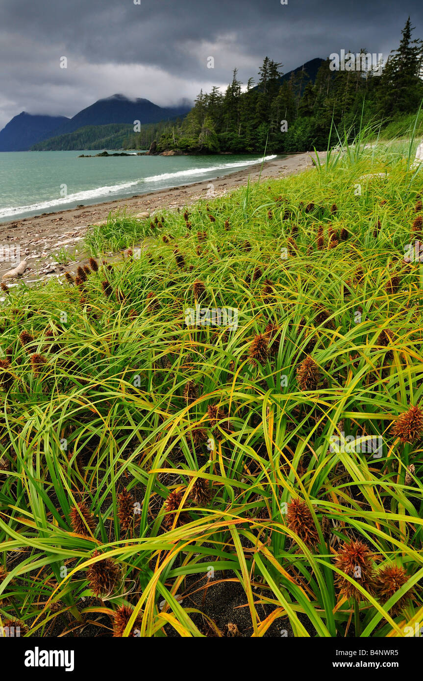 Rennell Sound, Haida Gwaii, 2008 Stock Photo - Alamy