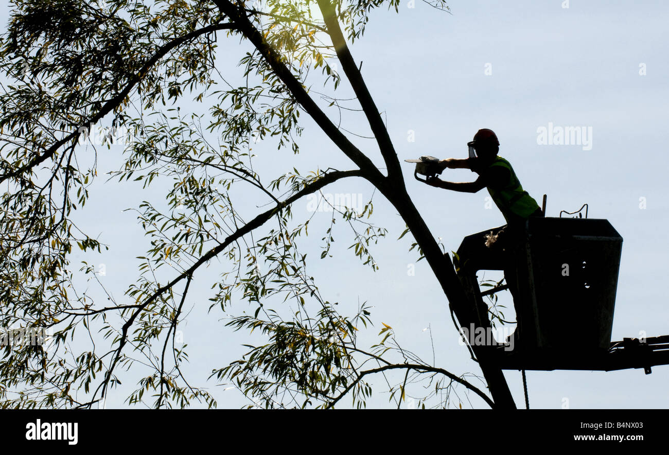 Fell felling feller hi-res stock photography and images - Alamy