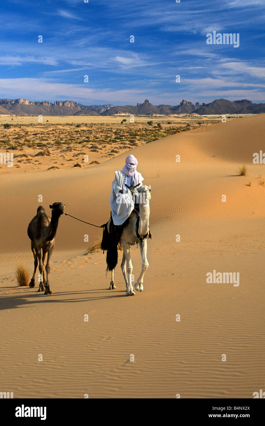 Algeria near Djanet Man of Tuareg tribe and camels Sahara desert Stock ...