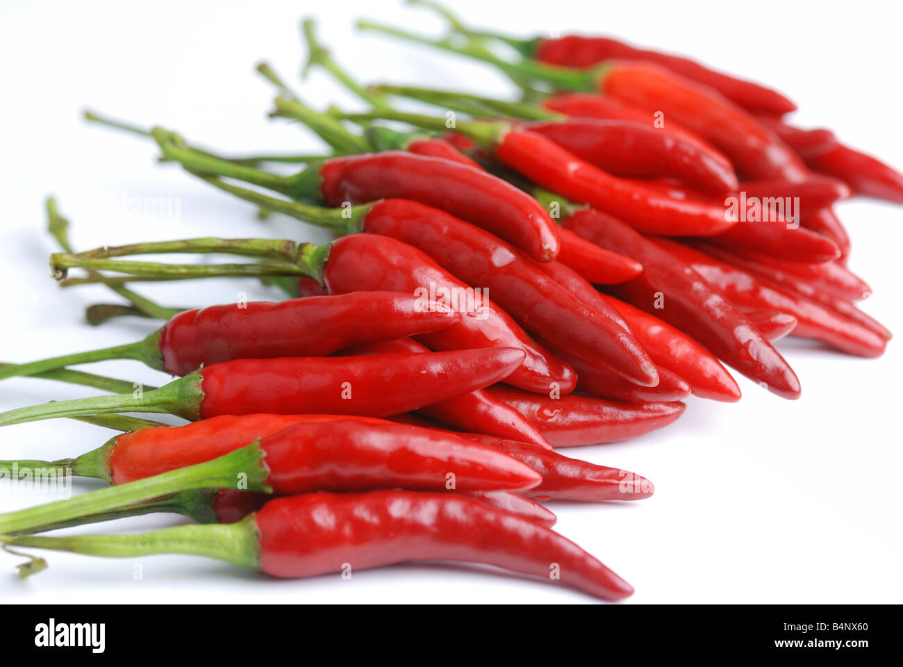 Red pepper isolated on white background Stock Photo - Alamy
