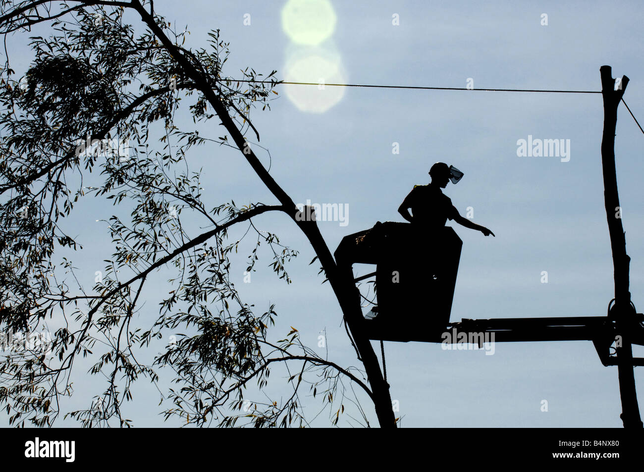 Fell felling feller hi-res stock photography and images - Alamy