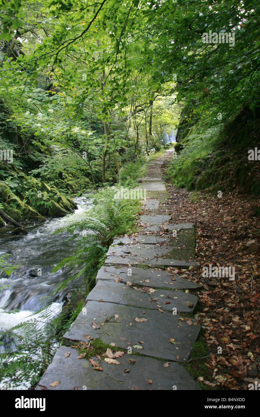 walk way foot path woods in llanberis, wales Stock Photo - Alamy
