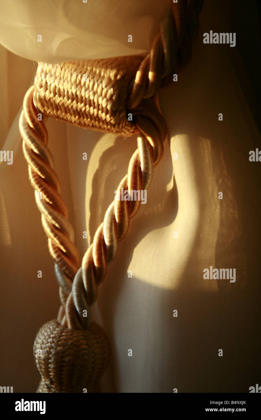 Velevt hi-res stock photography and images - Alamy