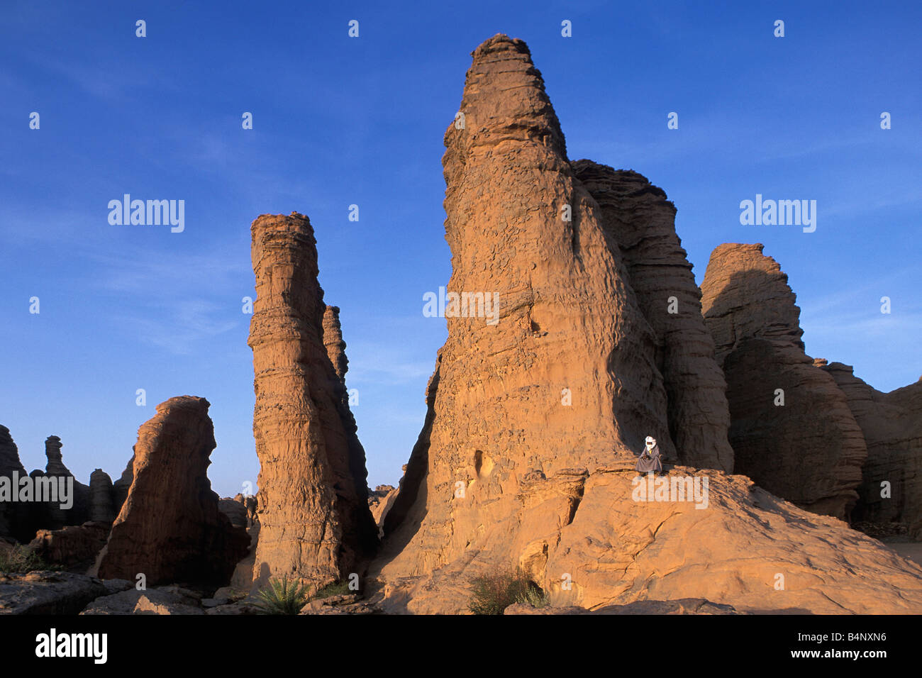 Algeria Djanet Tassili Plateau Man of Tuareg tribe Sahara desert Stock ...