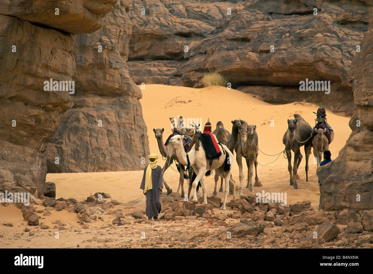 Algeria Djanet Men of Tuareg tribe and camel caravan Sahara desert ...