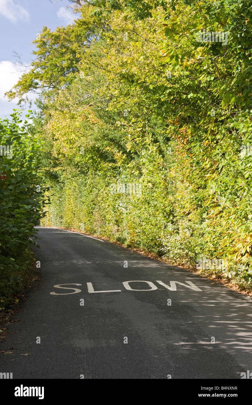 Slow road markings on a country lane road Stock Photo - Alamy